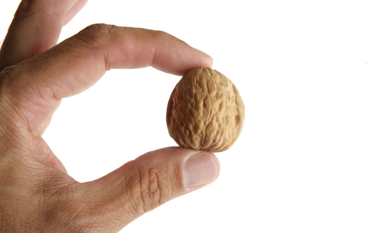 Exploring the P-Spot: A Guide To Improving Male Pleasure – MysteryVibe